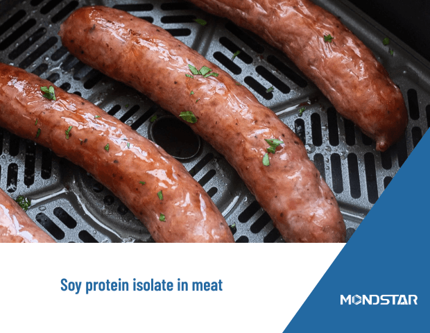 What is Soy Protein Isolate? - Mondstar